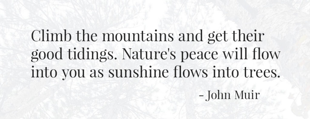 Climb and Peace Will Follow Inspirational Nature Quote